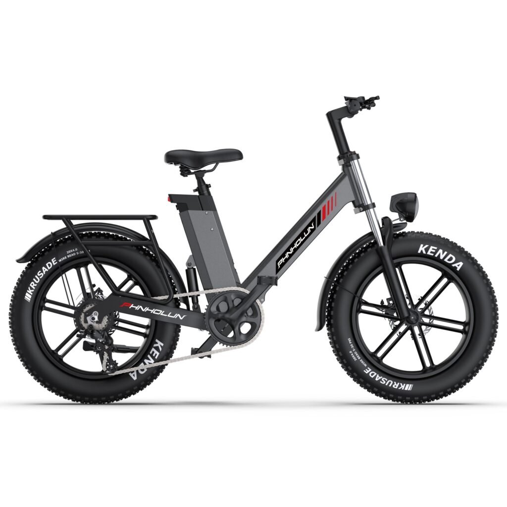 Phnholun C6 PRO 1000W Electric Bicycle Fat Tire With 17.5AH Up To 31MPH ...